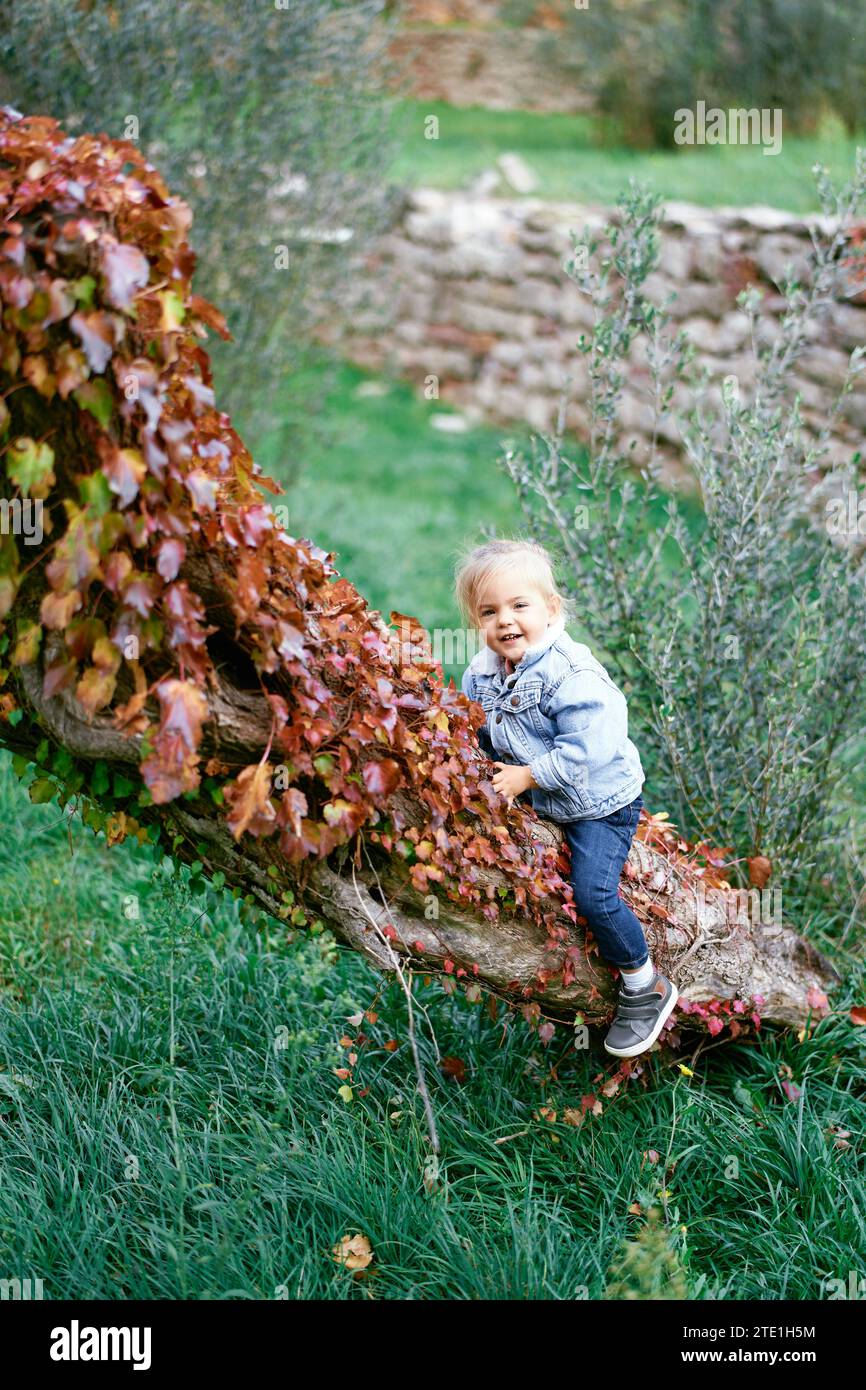 Little girl sits on an inclined tree trunk covered with ivy Stock Photo ...