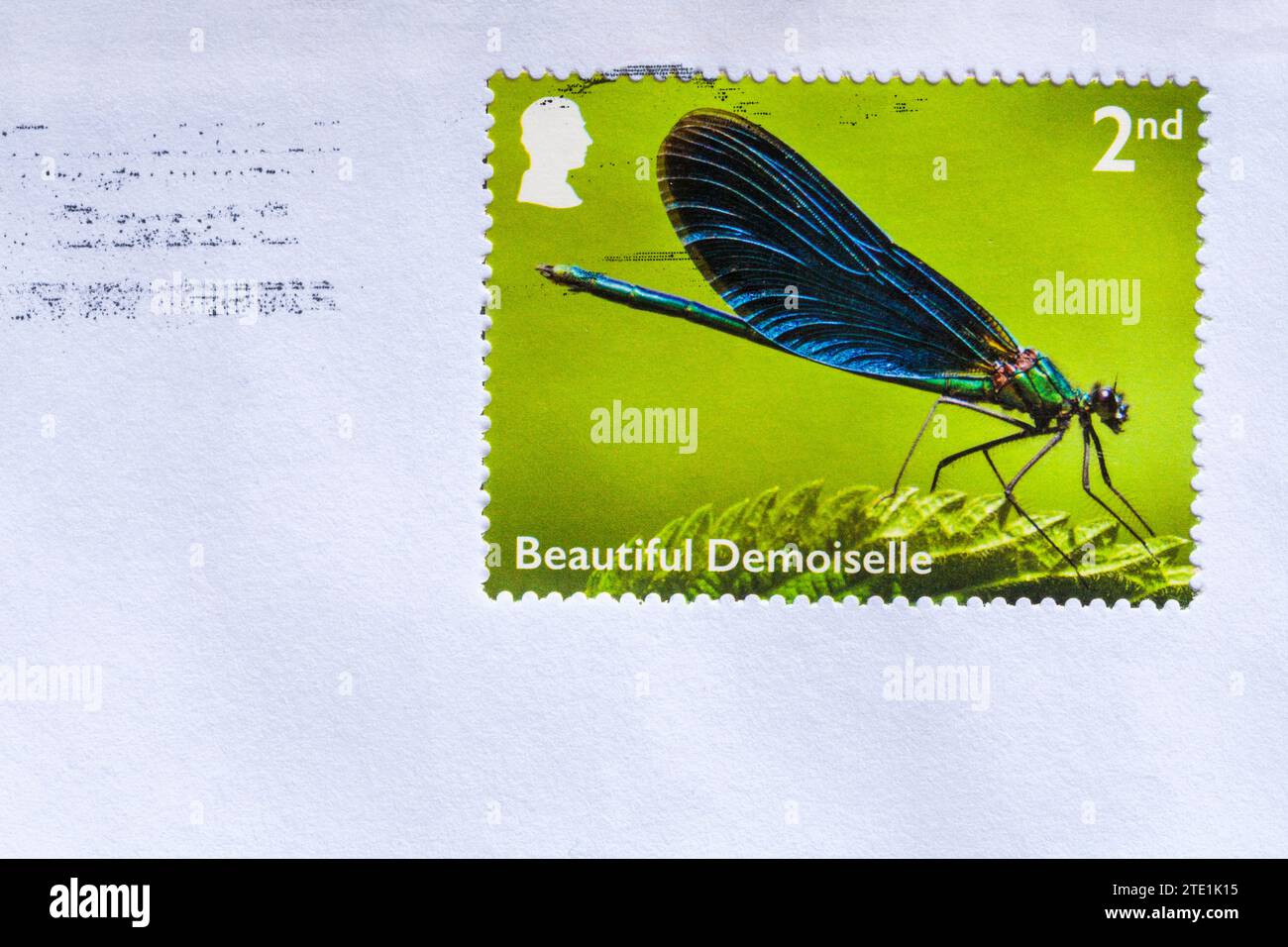 Beautiful Demoiselle 2nd class stamp with Kings Head on stuck on white ...