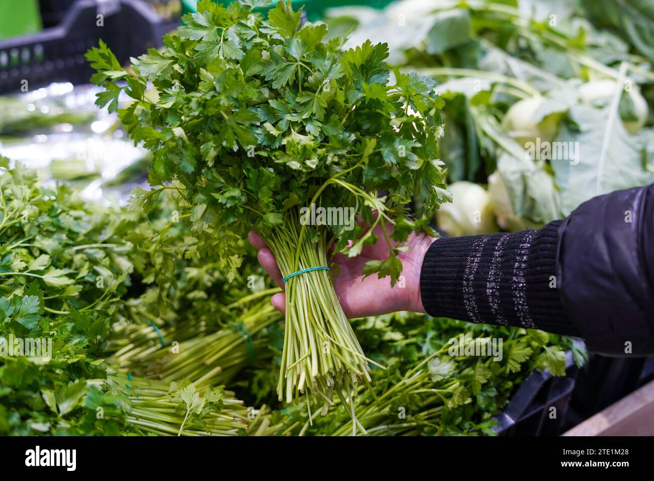 Woman holding Fresh green parsley in the store. Fresh herbs at grocery ...