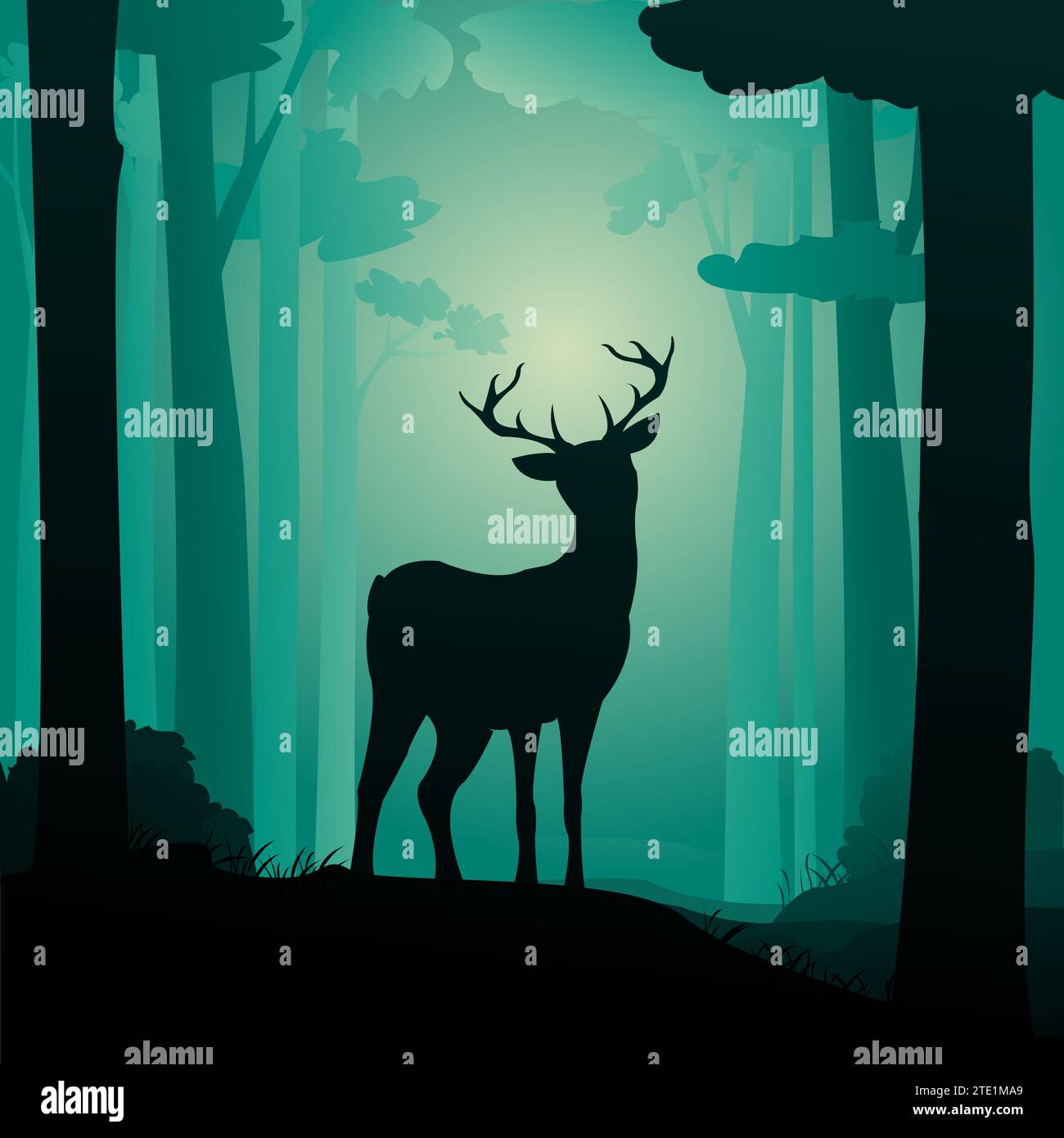 Rehbock In The Forest Stock Photo - Alamy