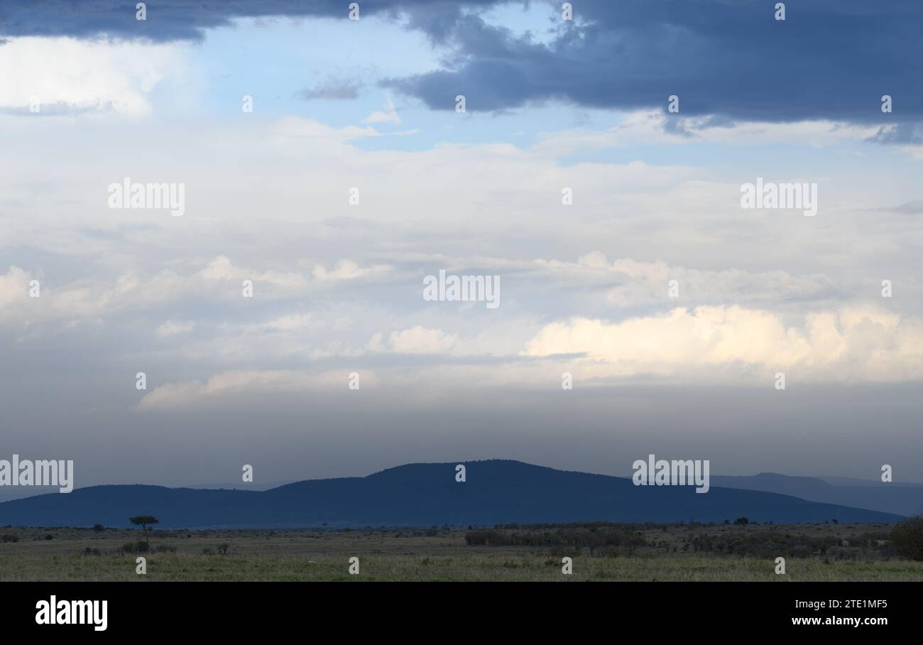 Fauna savana hi-res stock photography and images - Alamy