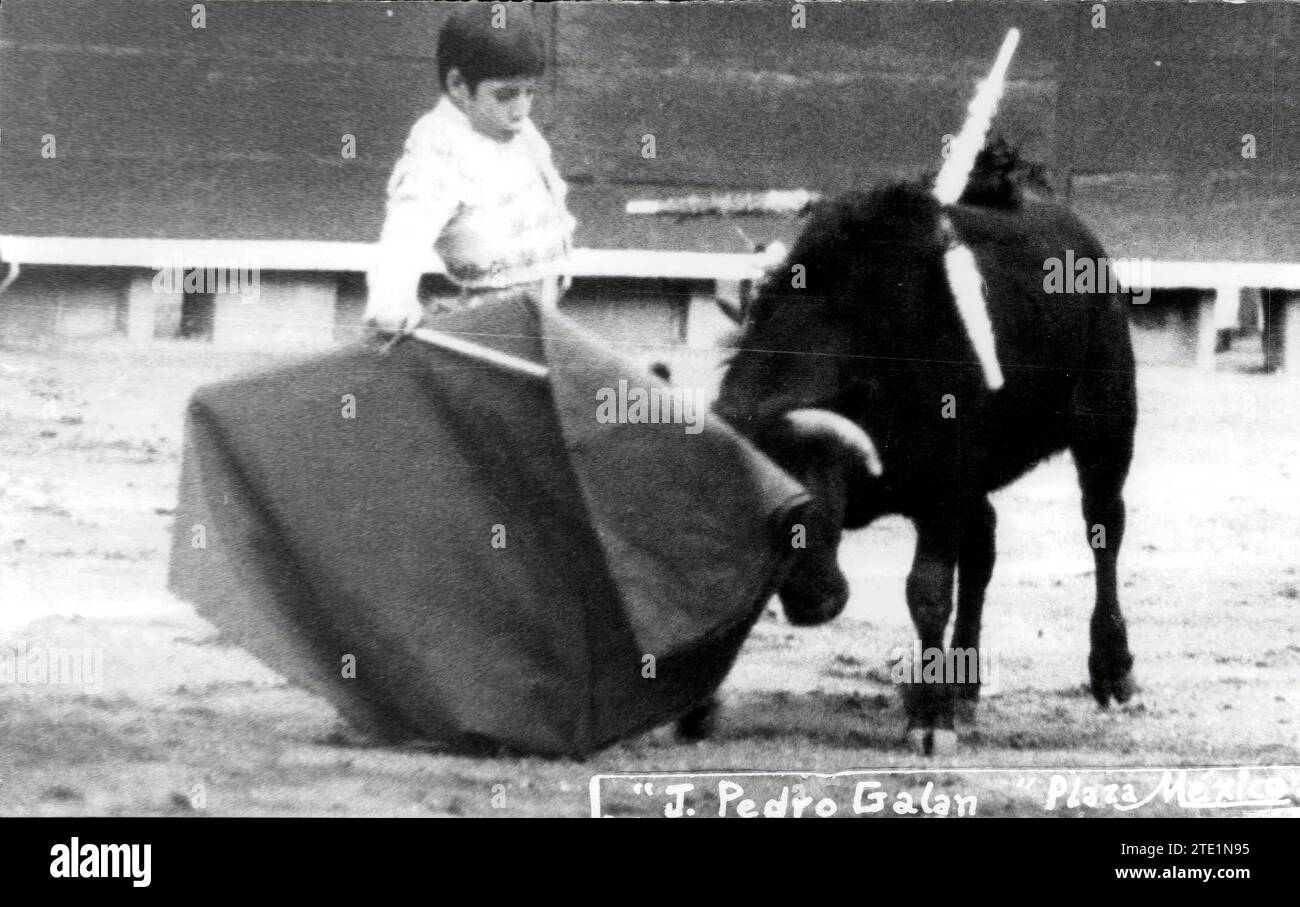 01/03/1982. The Spanish bullfighter boy Juan Pedro Galán appears before ...