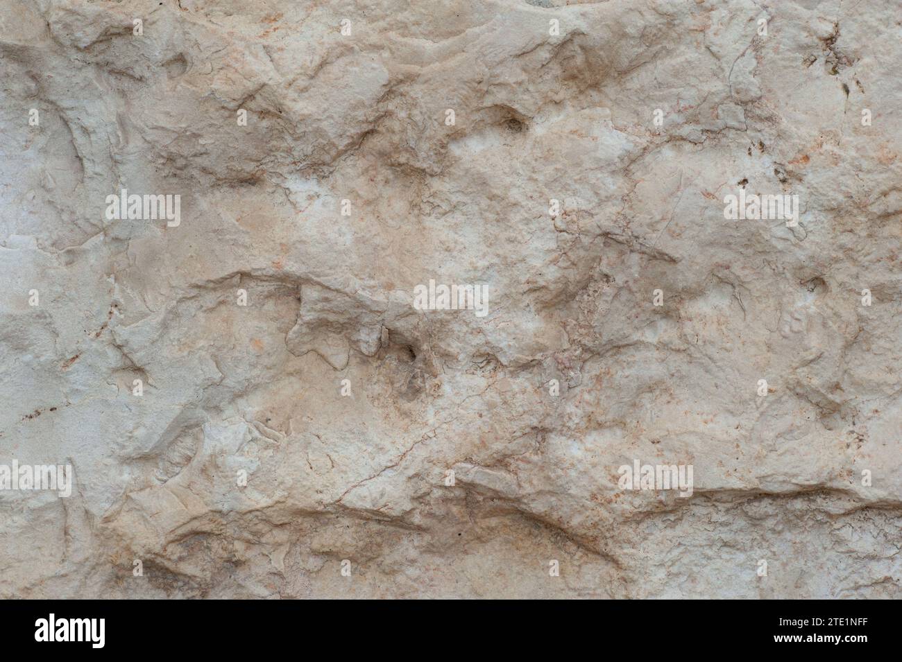 Textured, white, bumpy, Jerusalem stone wall detail Stock Photo - Alamy