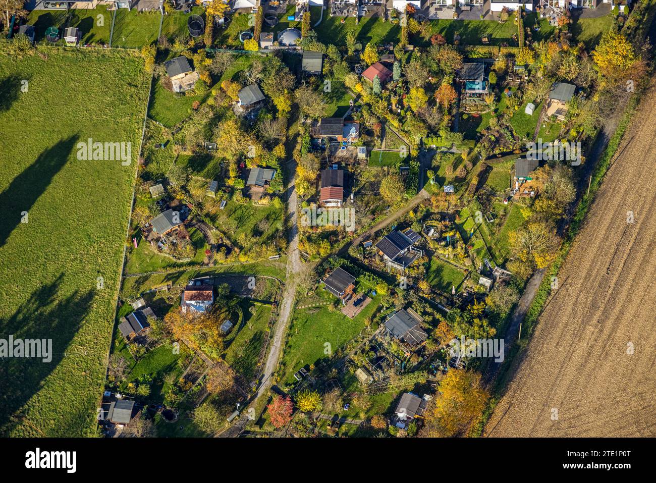 Aerial view, allotment garden association Am Heuweg e.V., arbours and ...