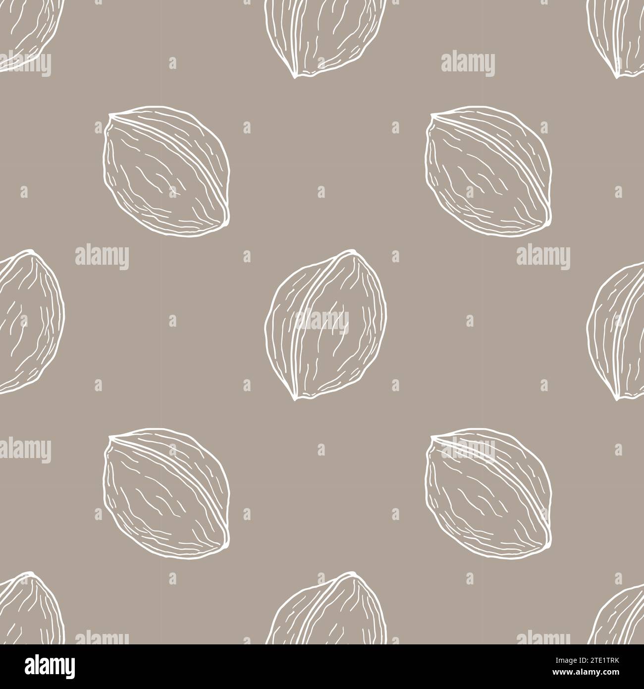 Pattern with white walnuts contour hand drawn on pastel brown ...