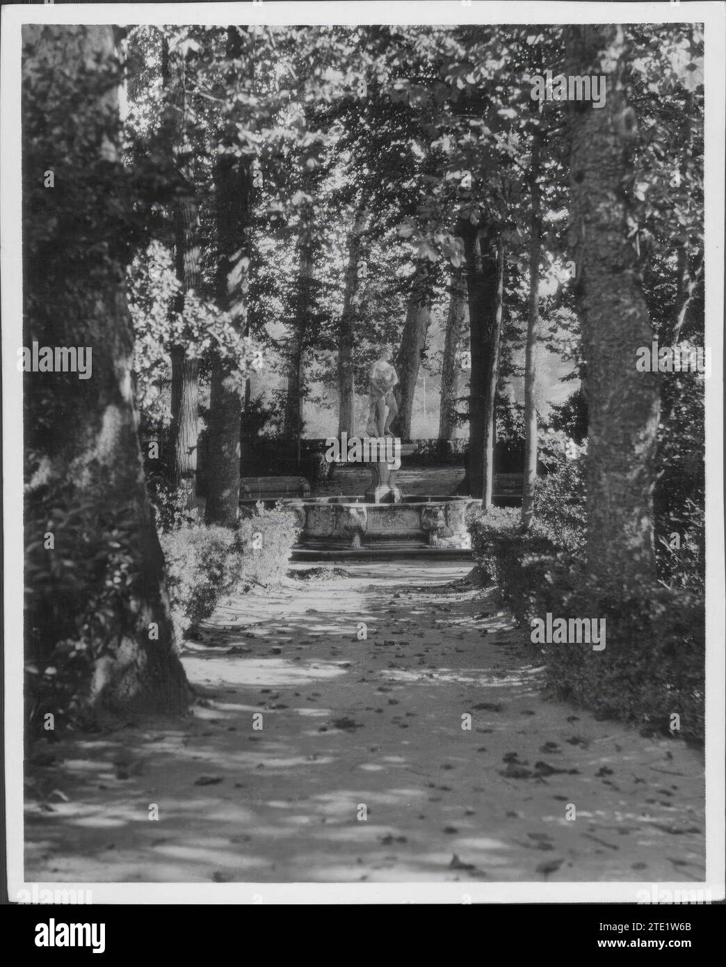 12/31/1919. Aranjuez, Madrid. Island garden in Autumn. Apollo Fountain ...