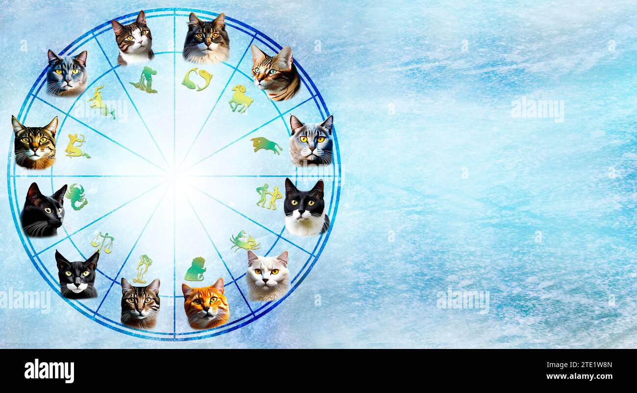 astrology wheels with all signs of the zodiac and cats Stock Photo - Alamy