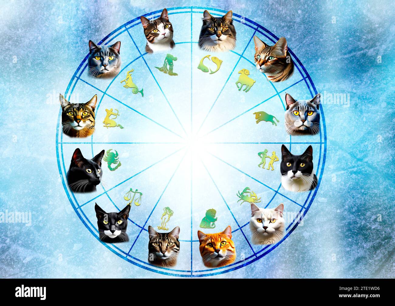 astrology wheels with all signs of the zodiac and cats Stock Photo - Alamy