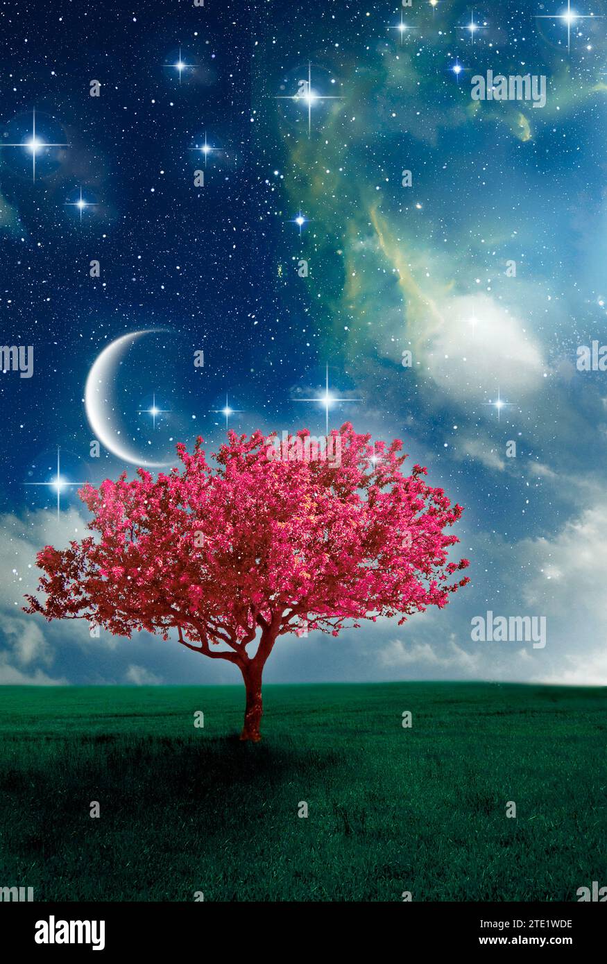 mystical backdrop with pink tree, clouds, stars and planet Stock Photo ...