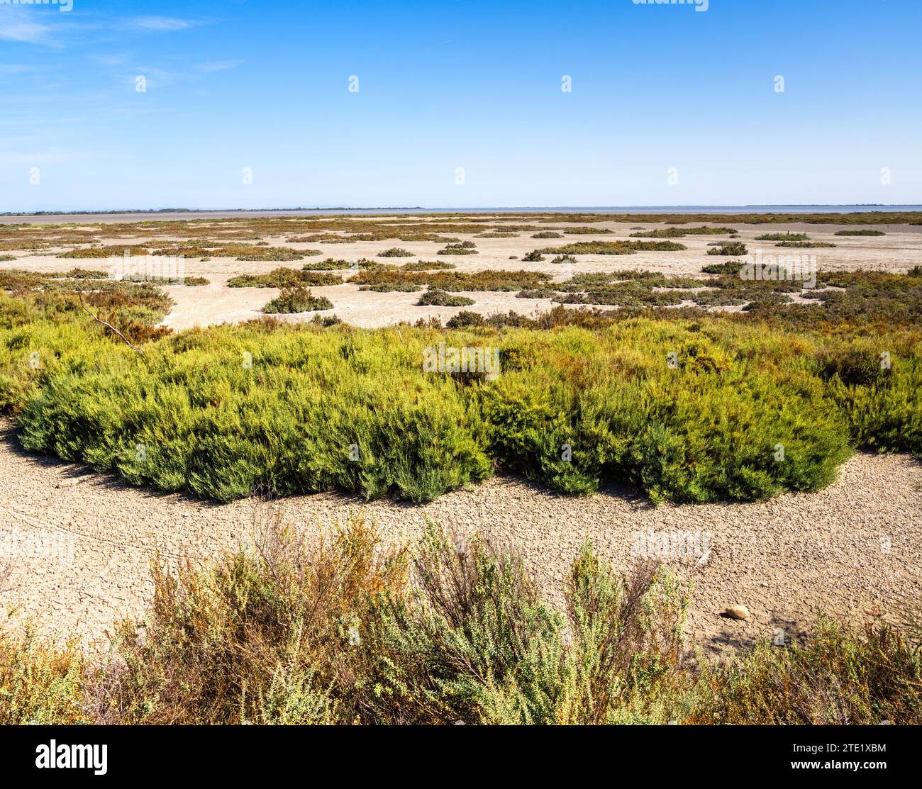 Alluvial plain hi-res stock photography and images - Alamy