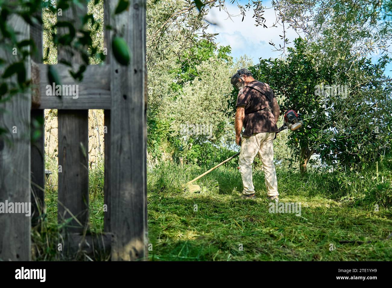 Gardener mowing weeds in the garden with string grass trimmer. Man ...