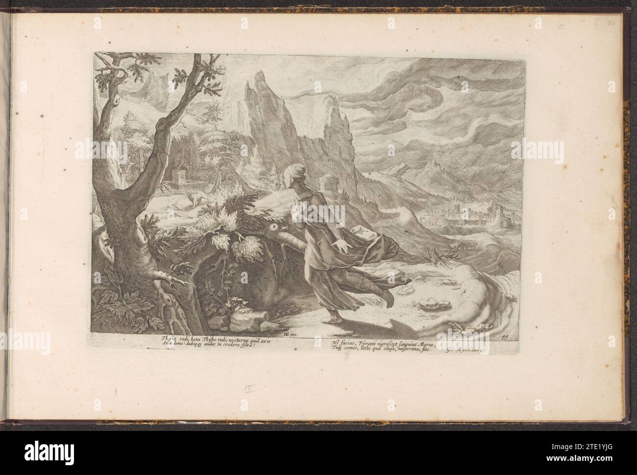 Thisbe flight for a lion, 1728 Thisbe flees a lion from the place where ...