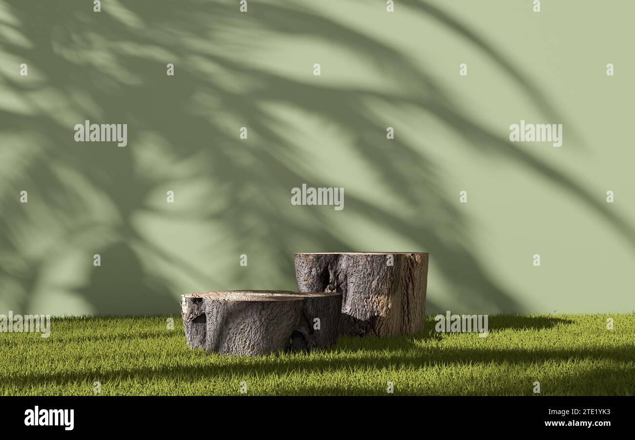 Tree trunk stump stands or podiums on the green grass of a garden for ...