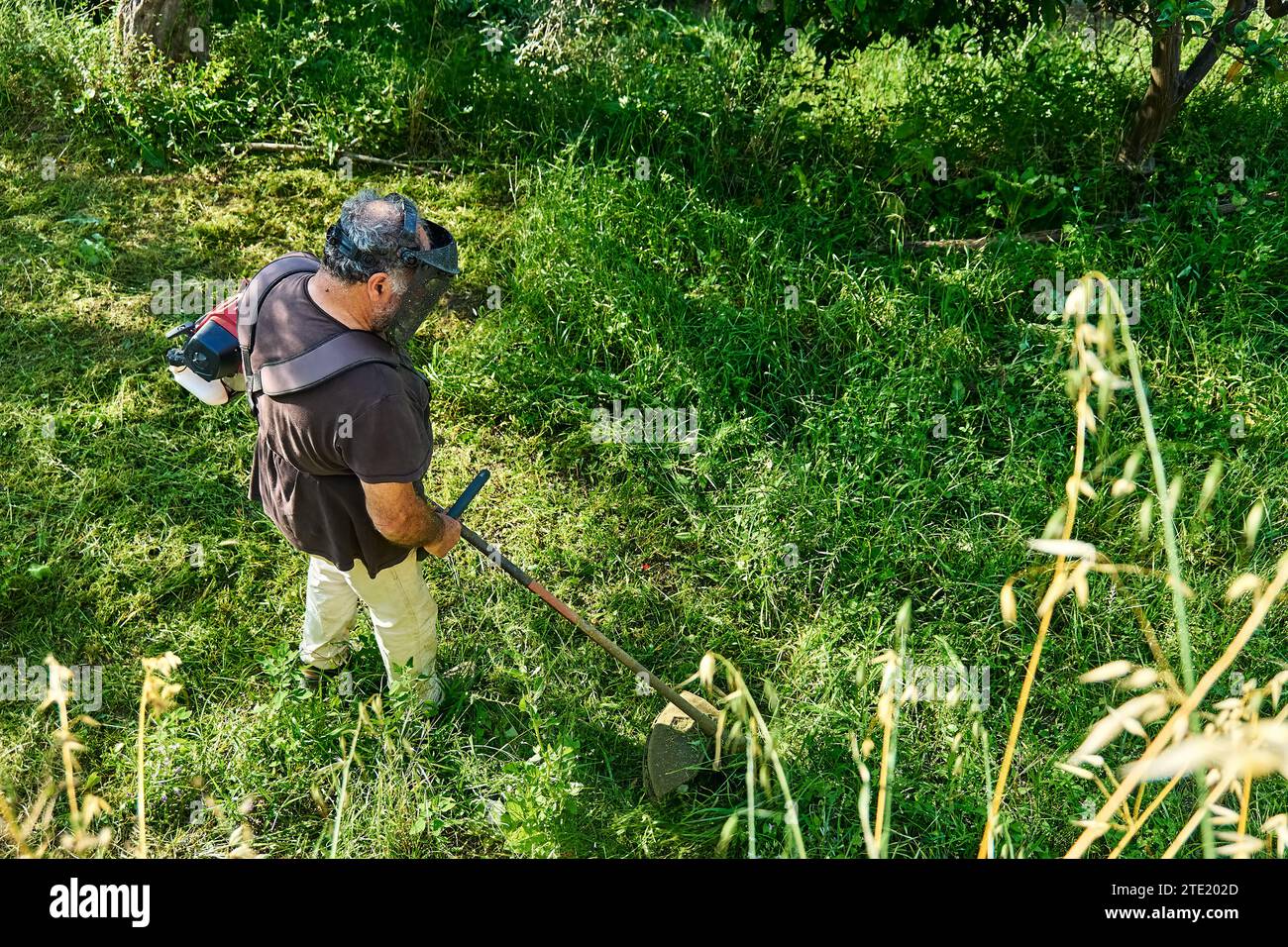 Gardener mowing weeds in the garden with string grass trimmer. Man ...