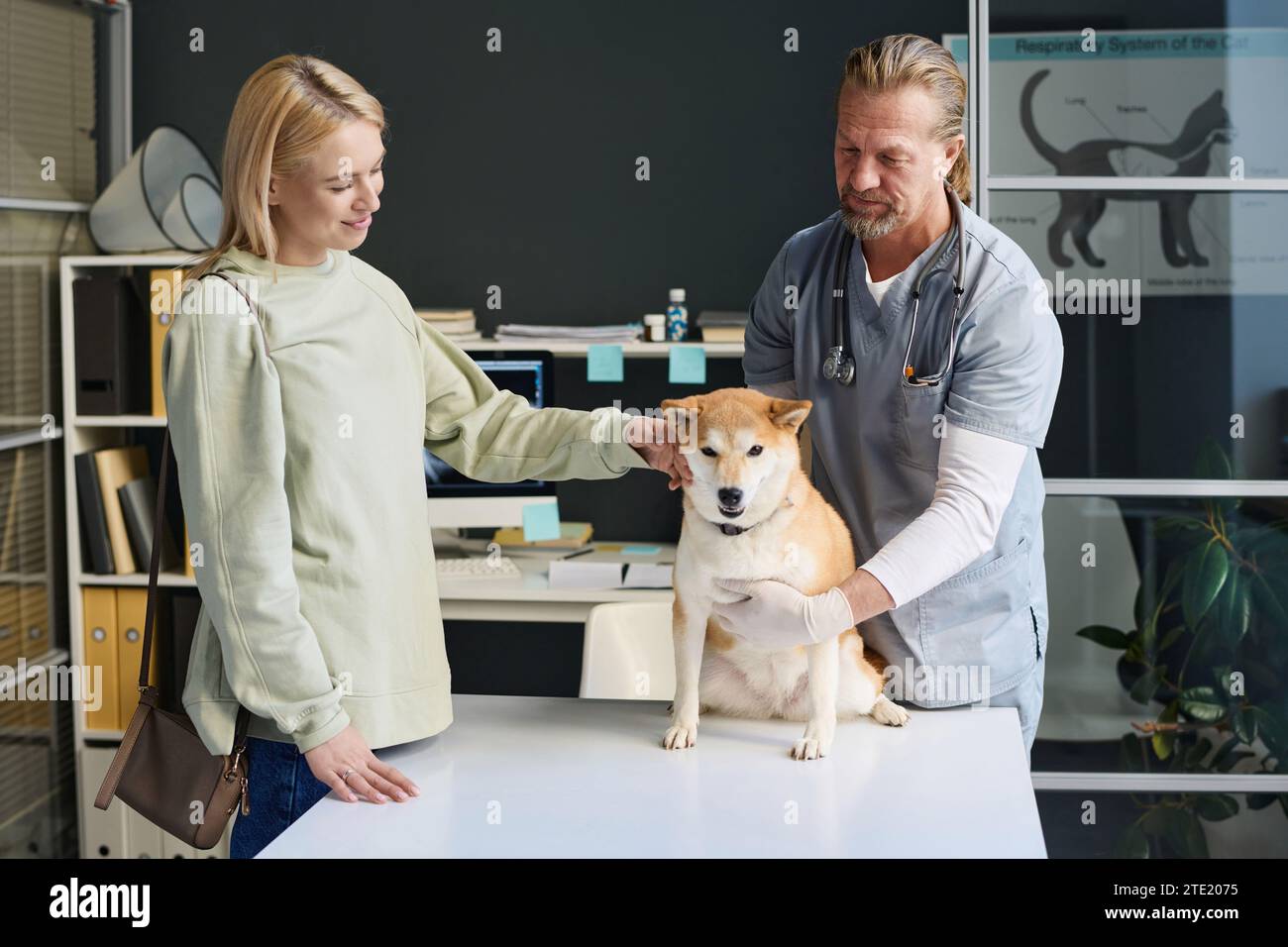 Vet doctor examining dog patient while pet owner stroking it Stock ...