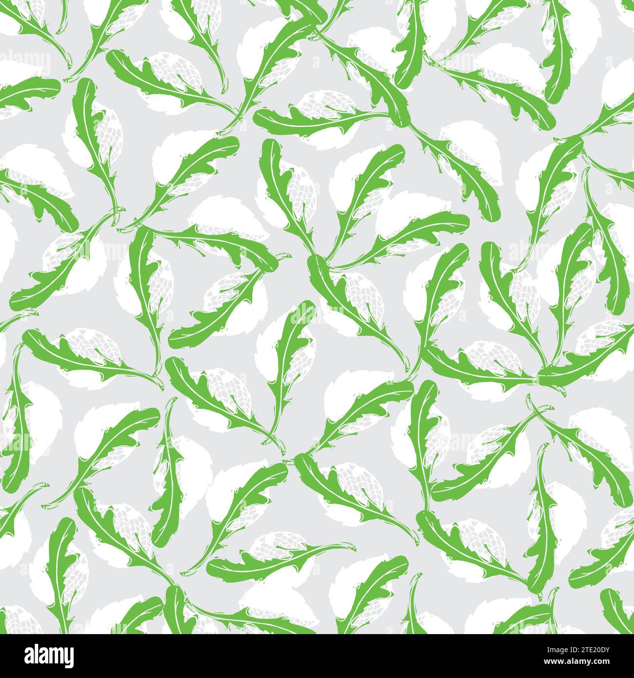 Eruca vesicaria garden rocket Stock Vector Images - Alamy