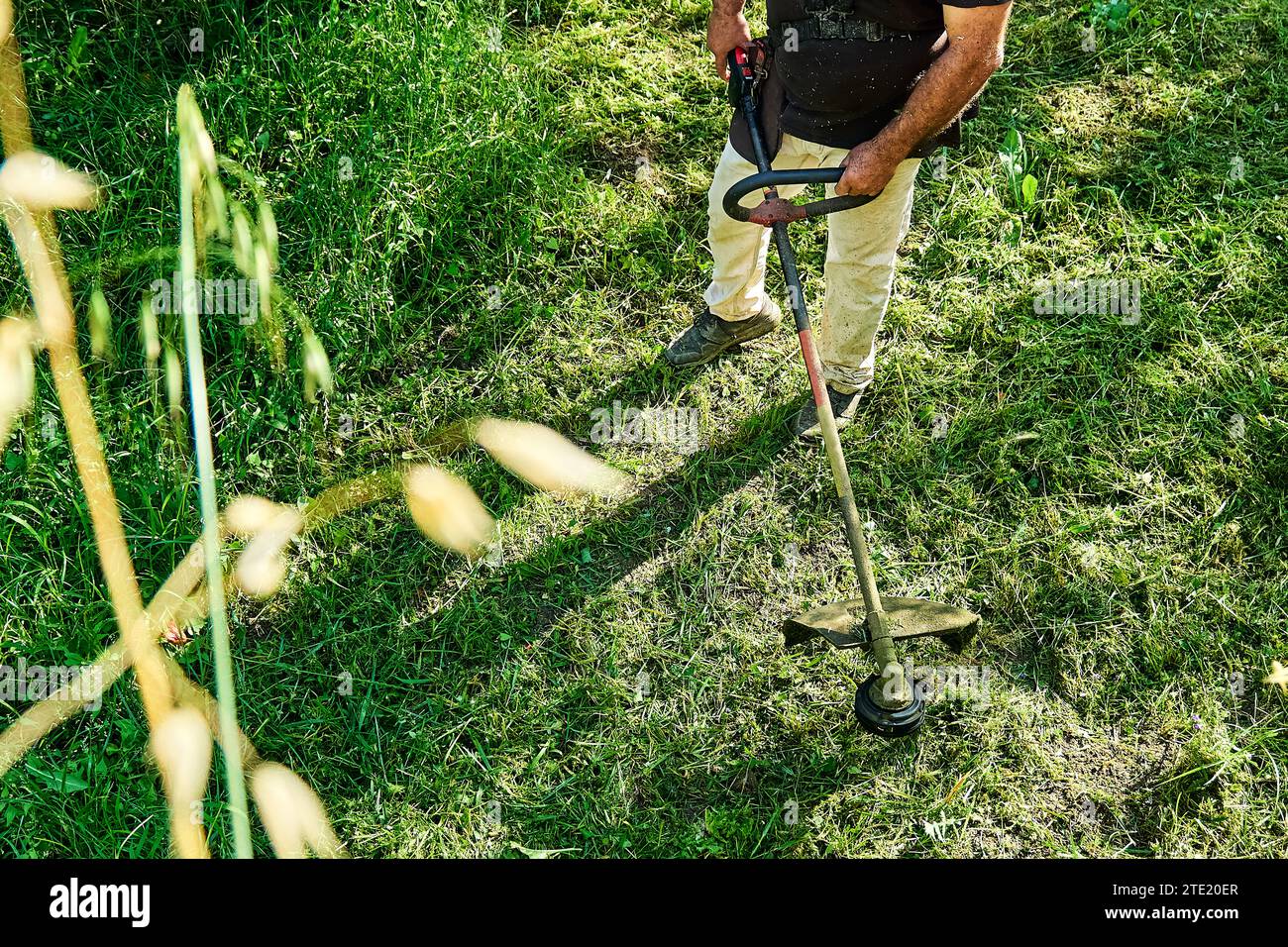 Gardener mowing weeds in the garden with string grass trimmer. Man ...