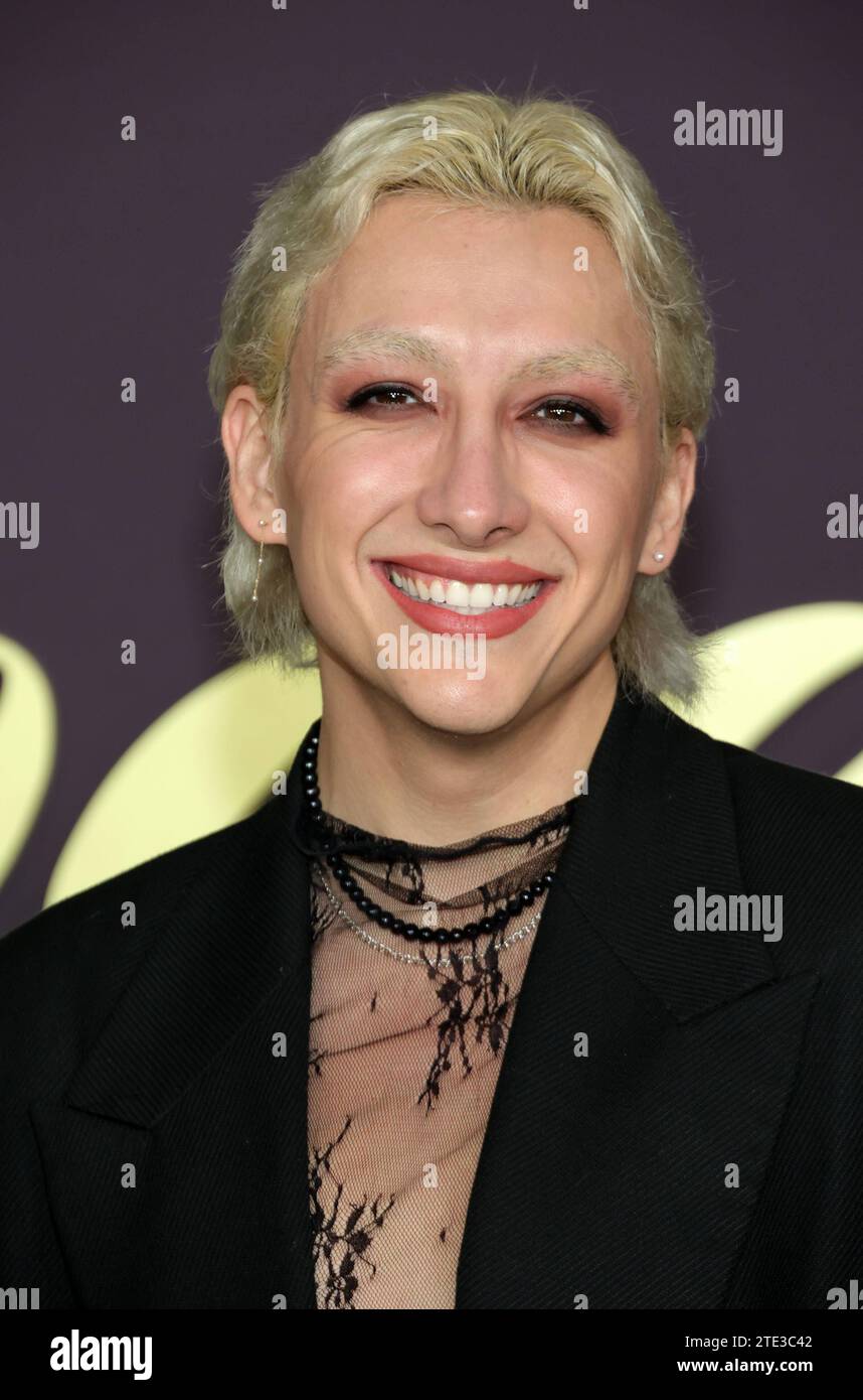 LOS ANGELES, CA - DECEMBER 19: Mason Alexander Park at the Netflix LA ...