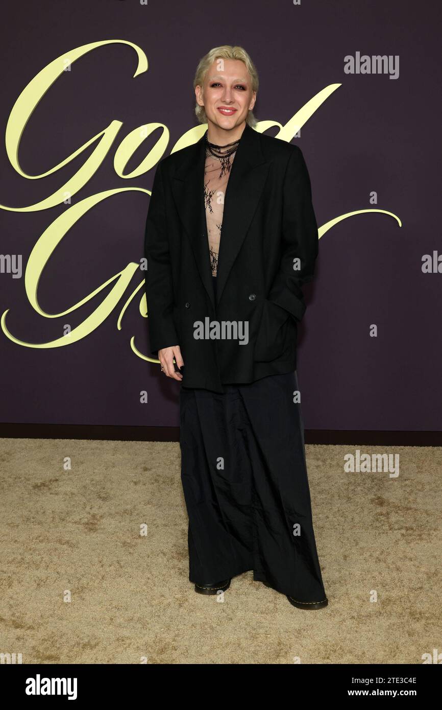 LOS ANGELES, CA - DECEMBER 19: Mason Alexander Park at the Netflix LA ...