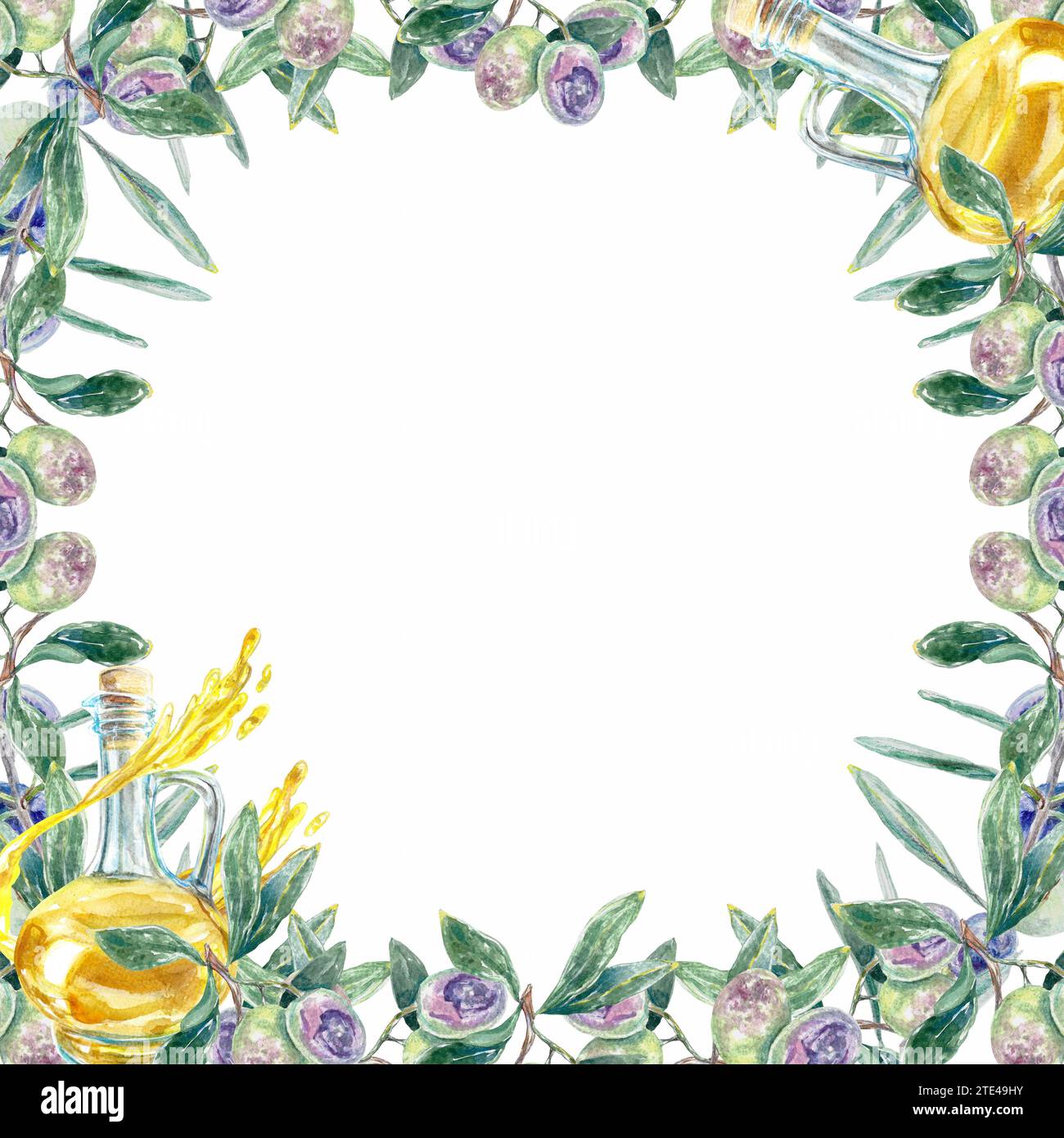 Olive frame with oil watercolor. Botanical illustration isolated on ...