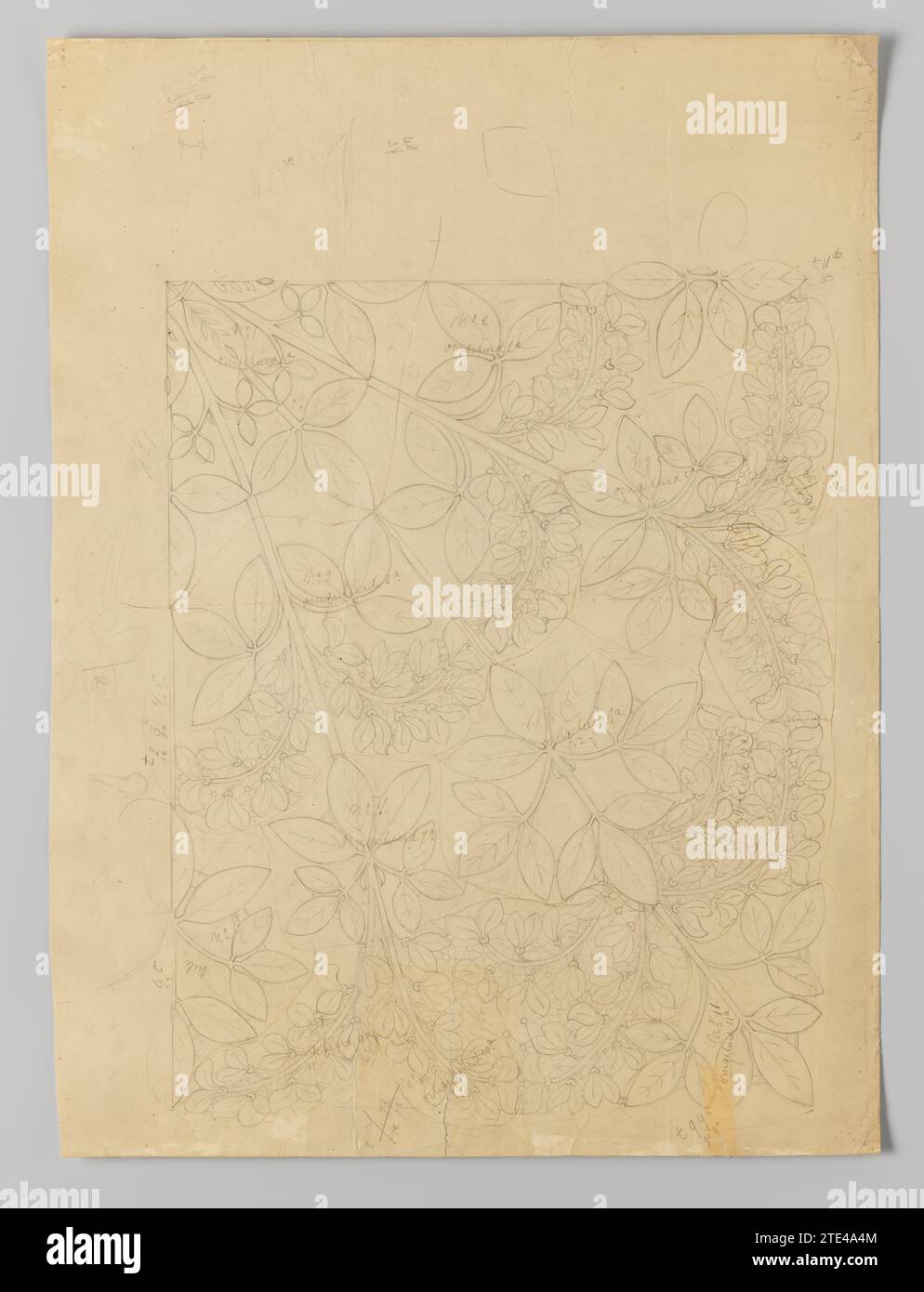 Design drawing on drawing paper for a rug of bobbin with golden rain ...