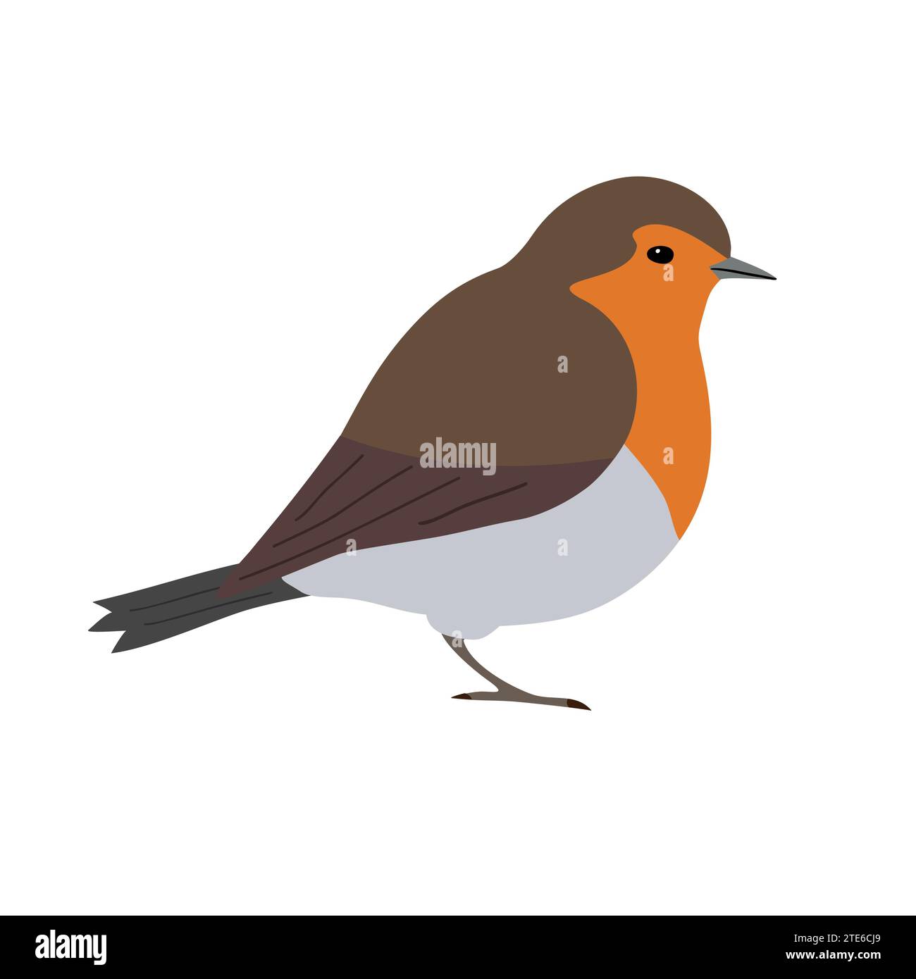 Vector hand drawn flat robin bird isolated on white background Stock ...
