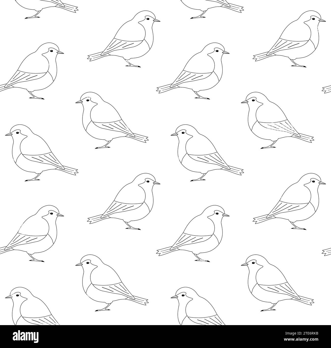 Vector seamless pattern of hand drawn flat outline robin bird isolated ...