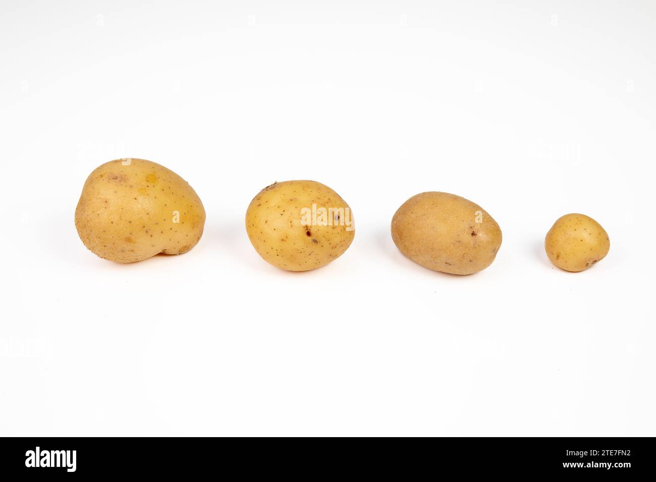 Different sizes of potatos isolated on white background Stock Photo - Alamy