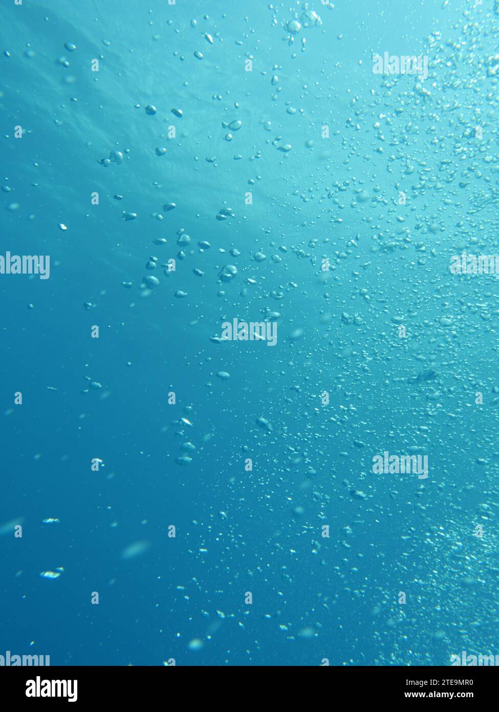 Sunlight underwater bubbles rising hi-res stock photography and images ...
