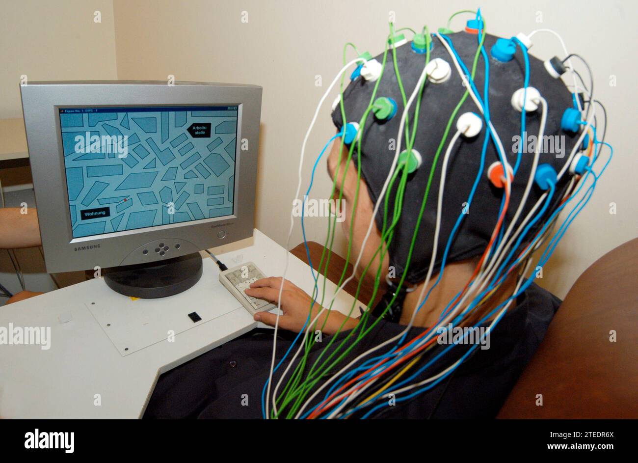 research on the human brain, gathering of knowledge in science research ...