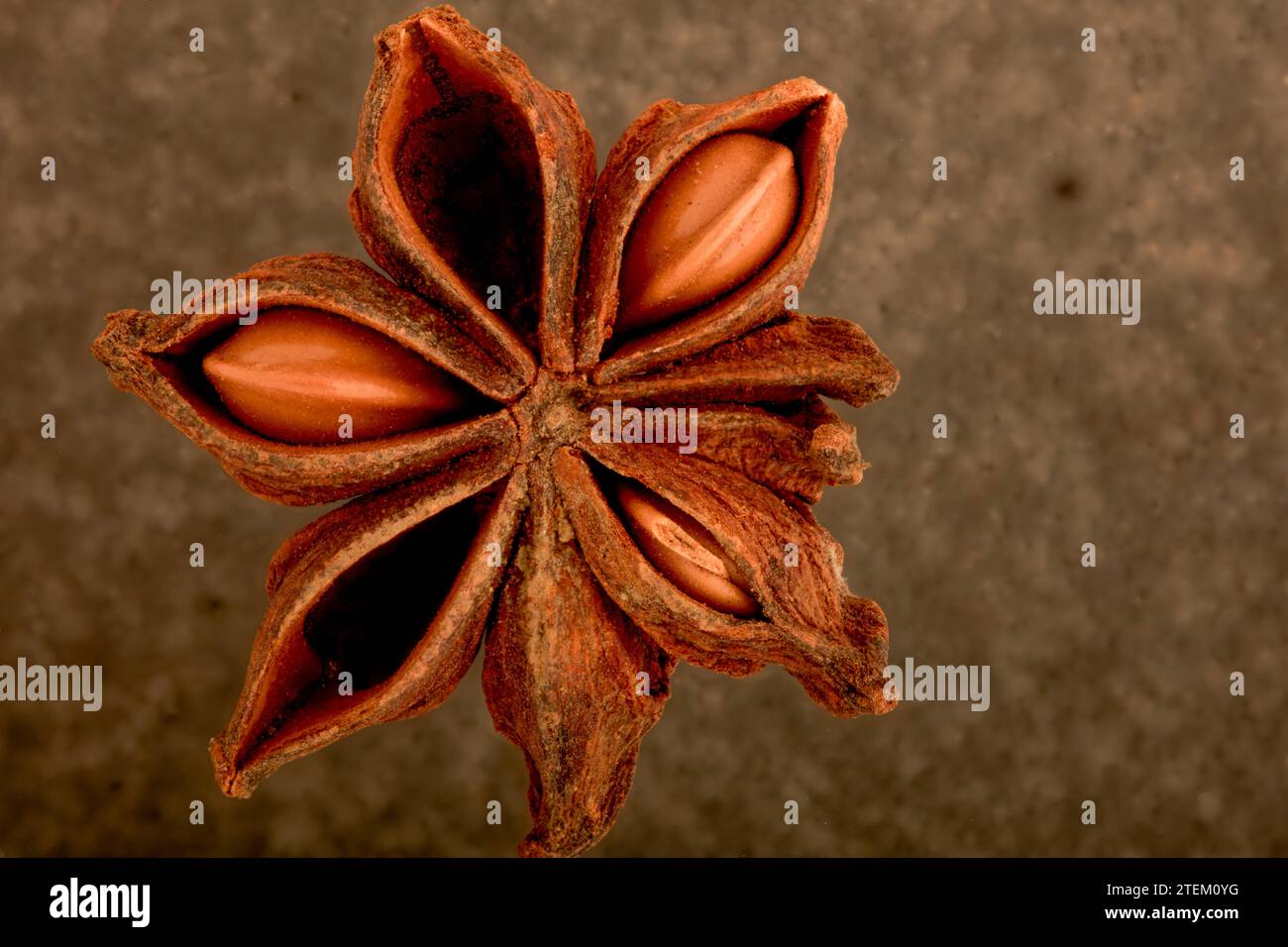 Classic macro food ingredient, spice, image of Illicium verum, star ...