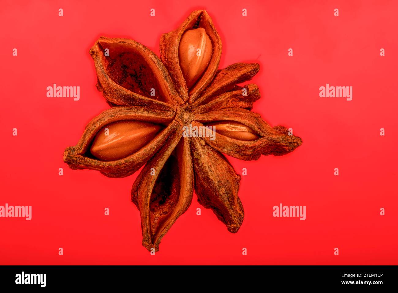 Classic macro food ingredient, spice, image of Illicium verum, star ...