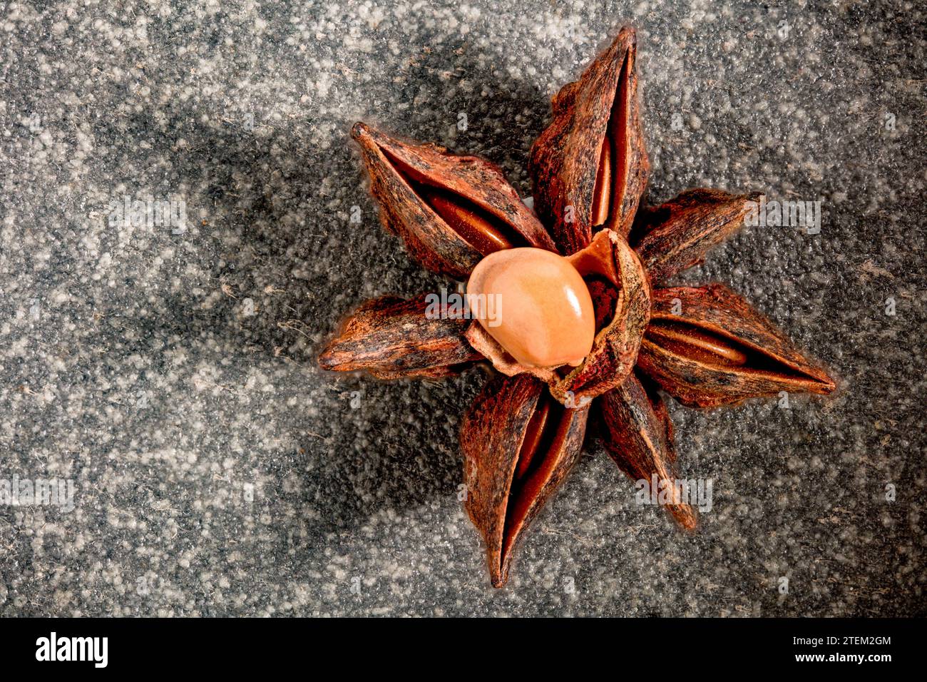 Classic macro food ingredient, spice, image of Illicium verum, star ...