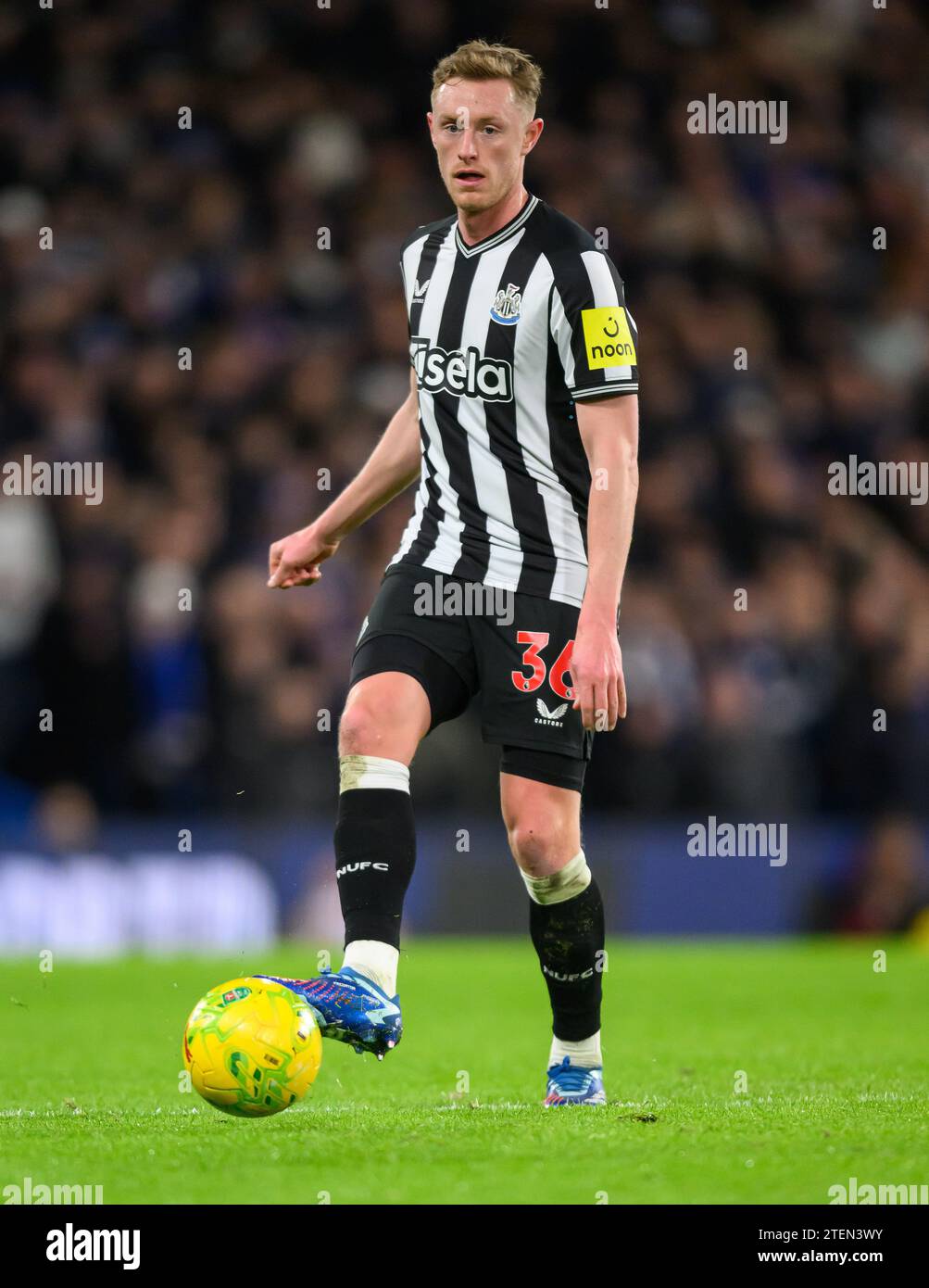 Longstaff hi-res stock photography and images - Alamy