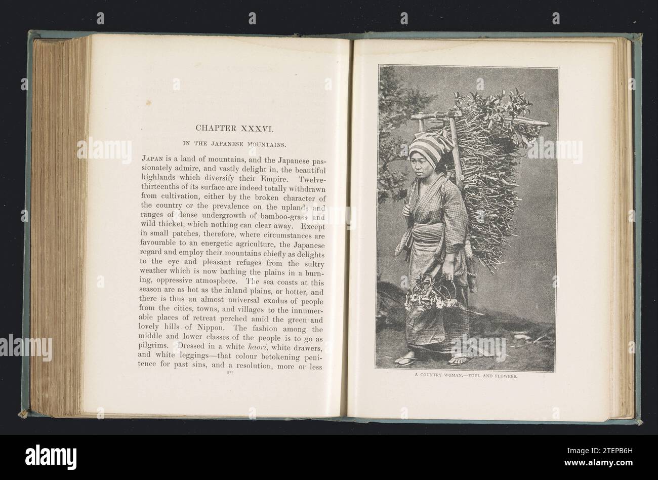 Portrait of an unknown Japanese woman who wears branches and flowers on ...