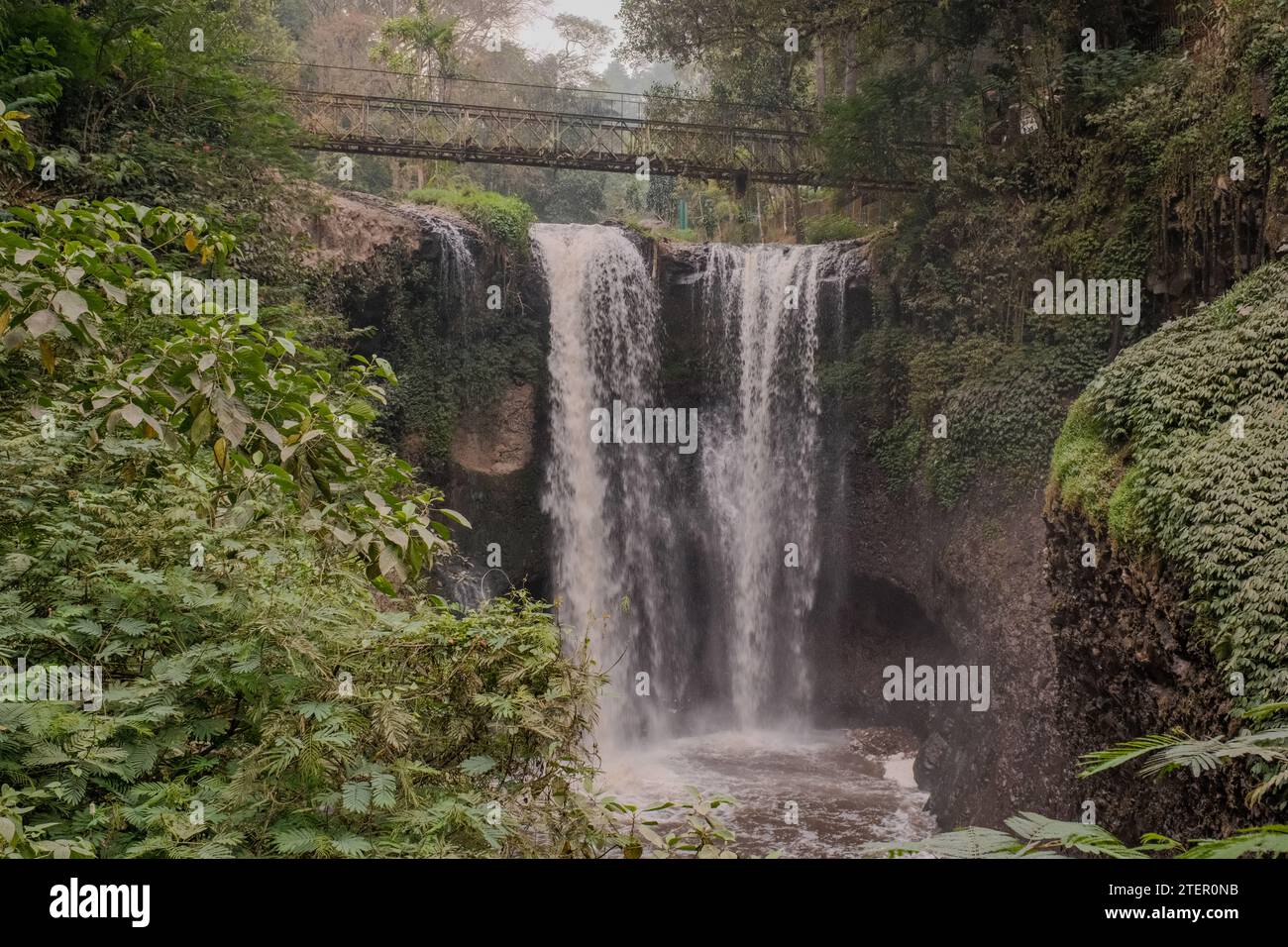 Experience the soothing beauty of a cascading waterfall in Taman Hutan ...