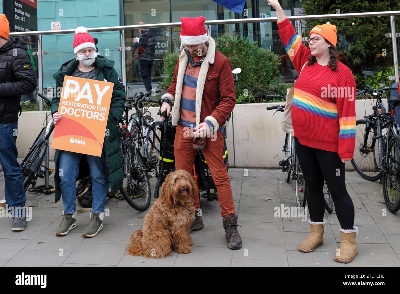 Dog lost six years hi-res stock photography and images - Alamy