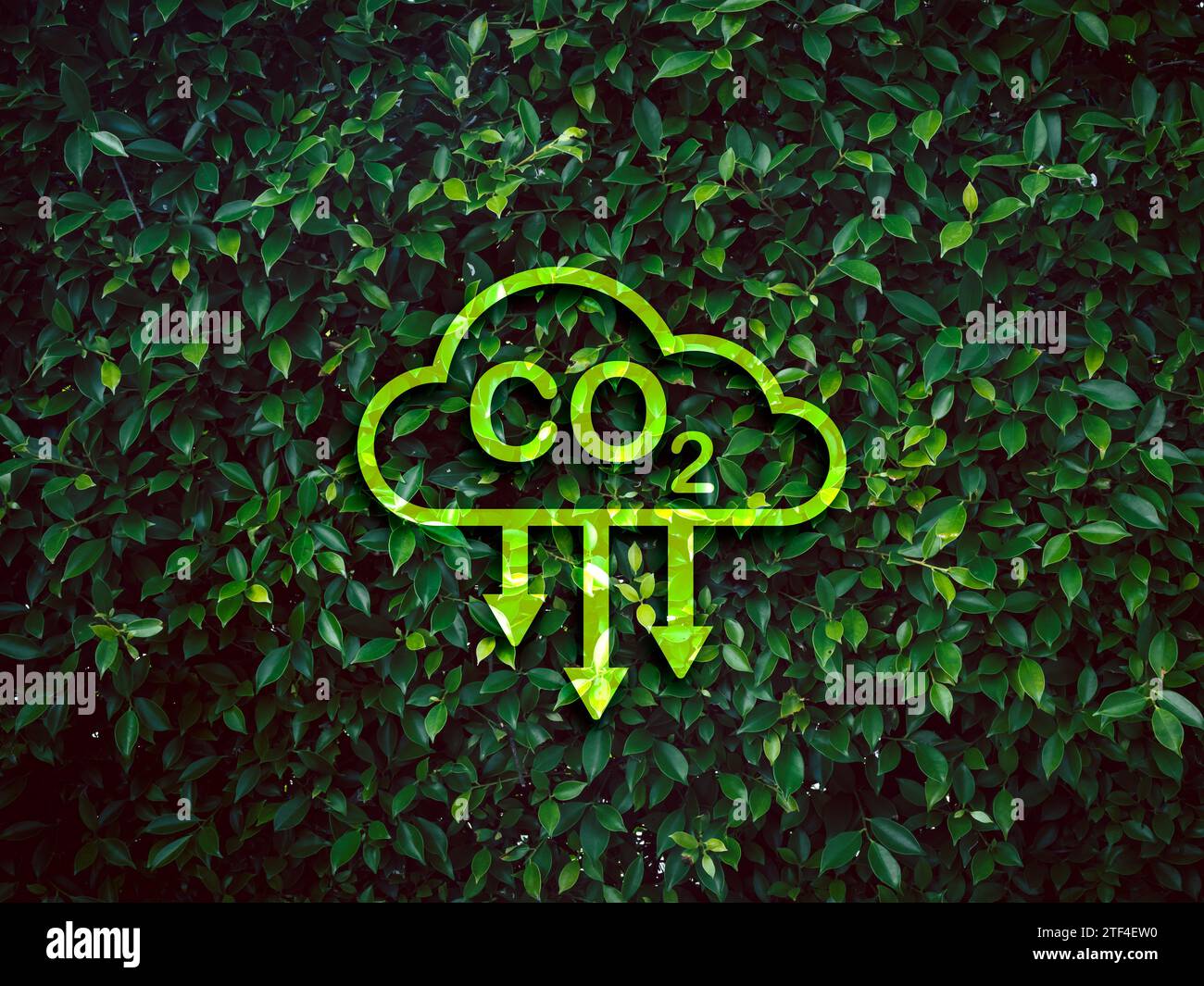 Carbon emissions reduction icon appears on green leaves bush background ... Carbon emissions reduction icon appears on green leaves bush background ...