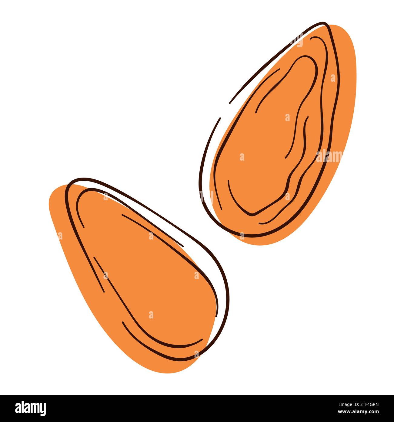 Almond icon in line art style with brown color. Flat vector ...