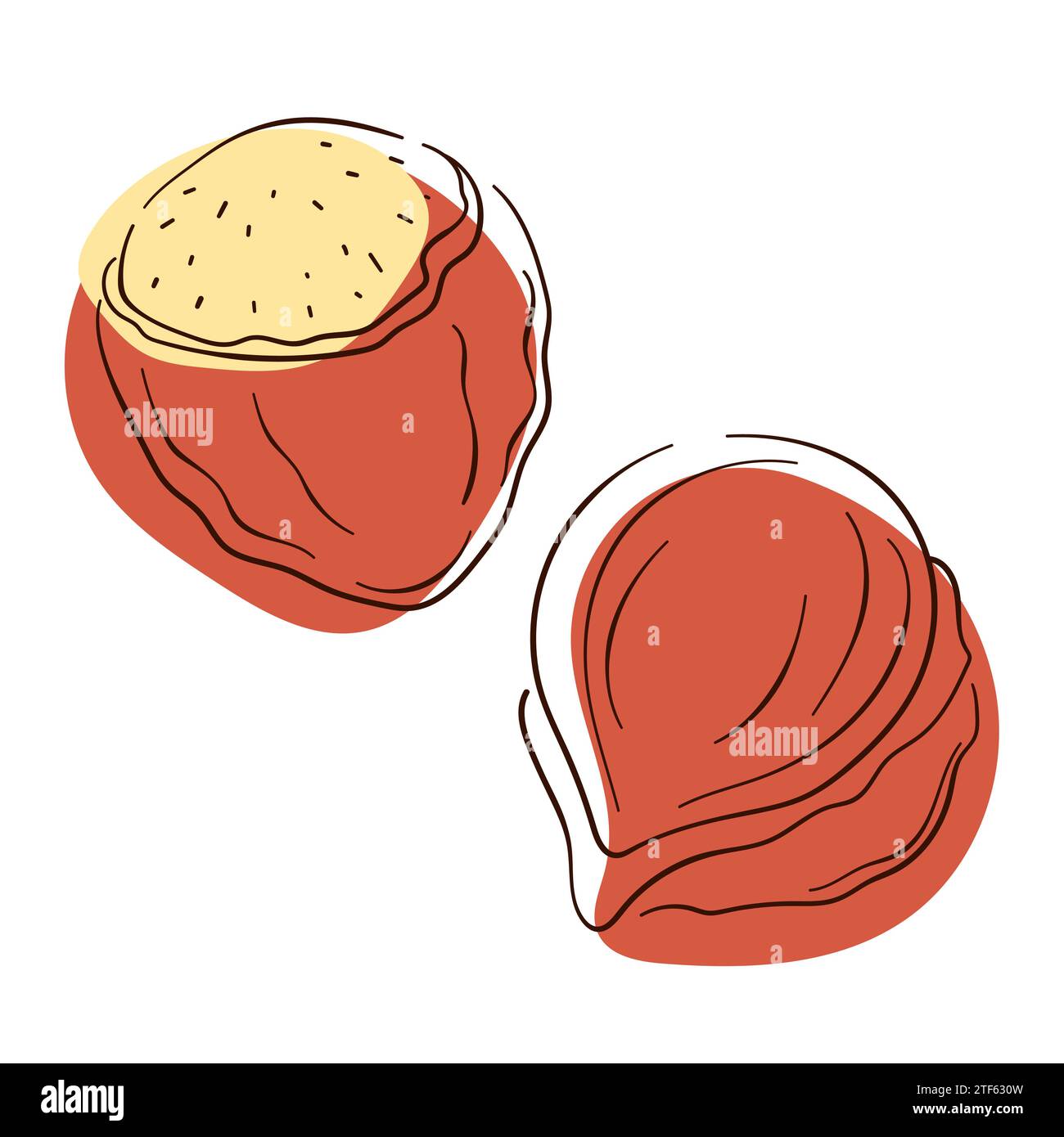 Hazelnut icon in line art style. Nut flat logo for menu design, cafe ...