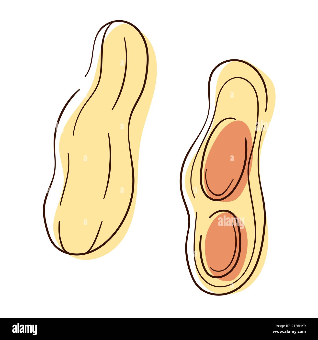 Peanut icon set in line and color art style. Design for peanut butter ...