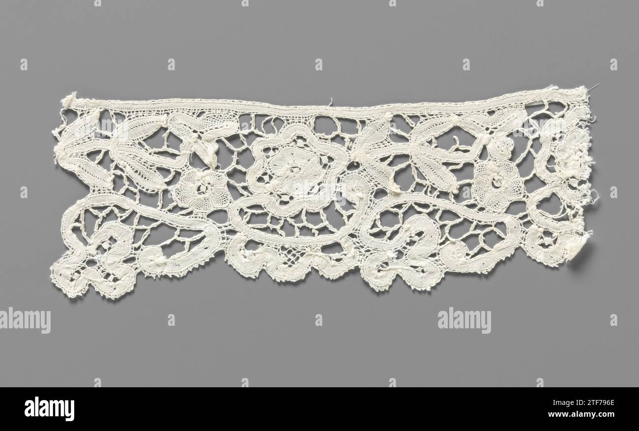 Rosette shaped leaf structure hi-res stock photography and images - Alamy