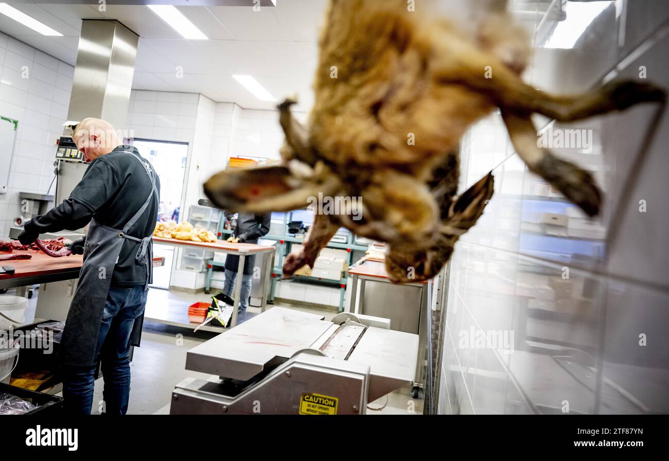 ROTTERDAM - Employees of a poulterer process orders the day before ...