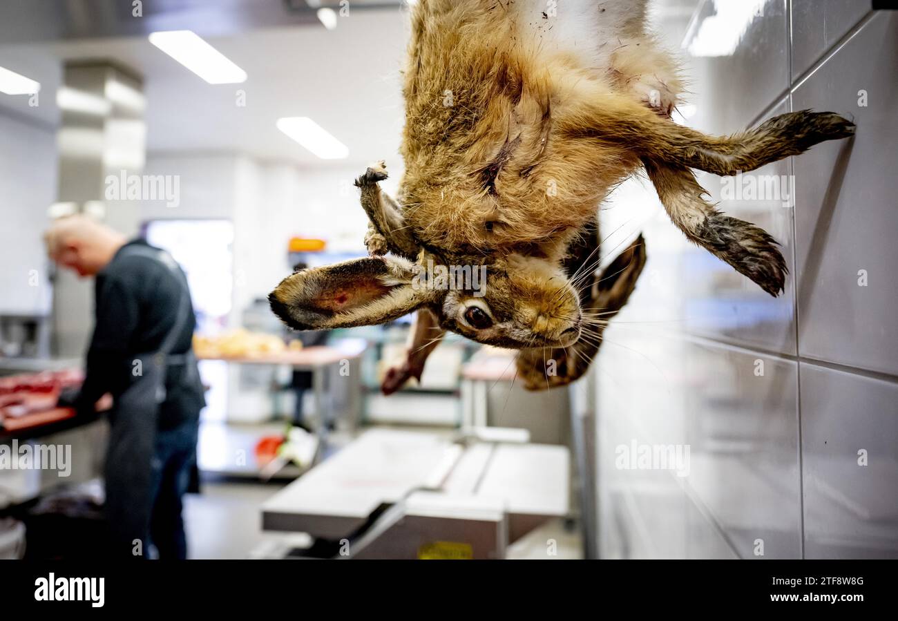 ROTTERDAM - Employees of a poulterer process orders the day before ...