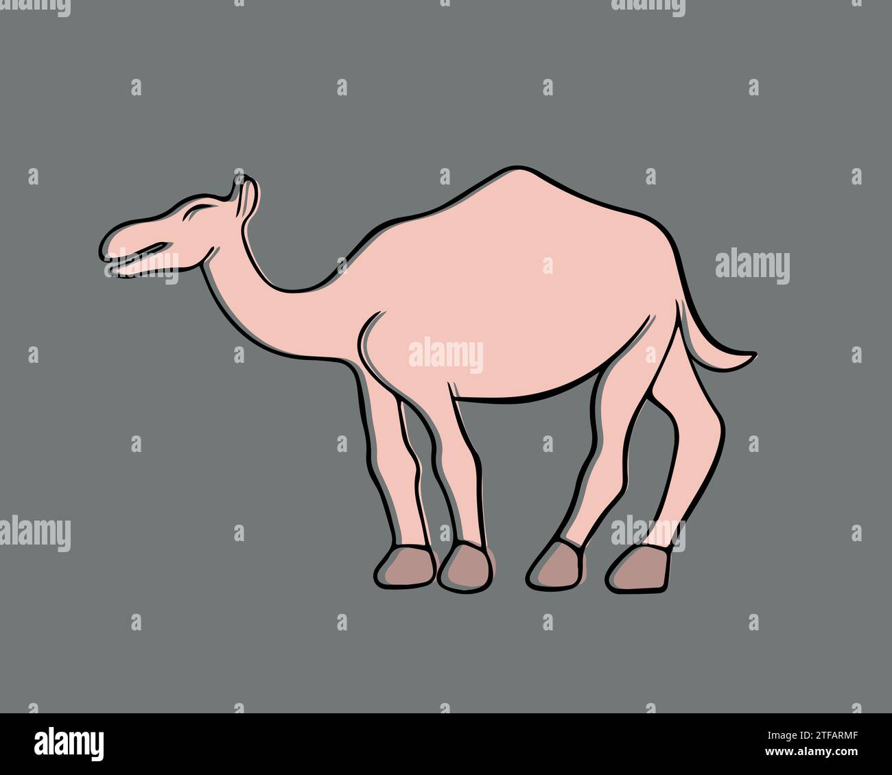 Vector isolated illustration of camel with outline Stock Vector Image ...
