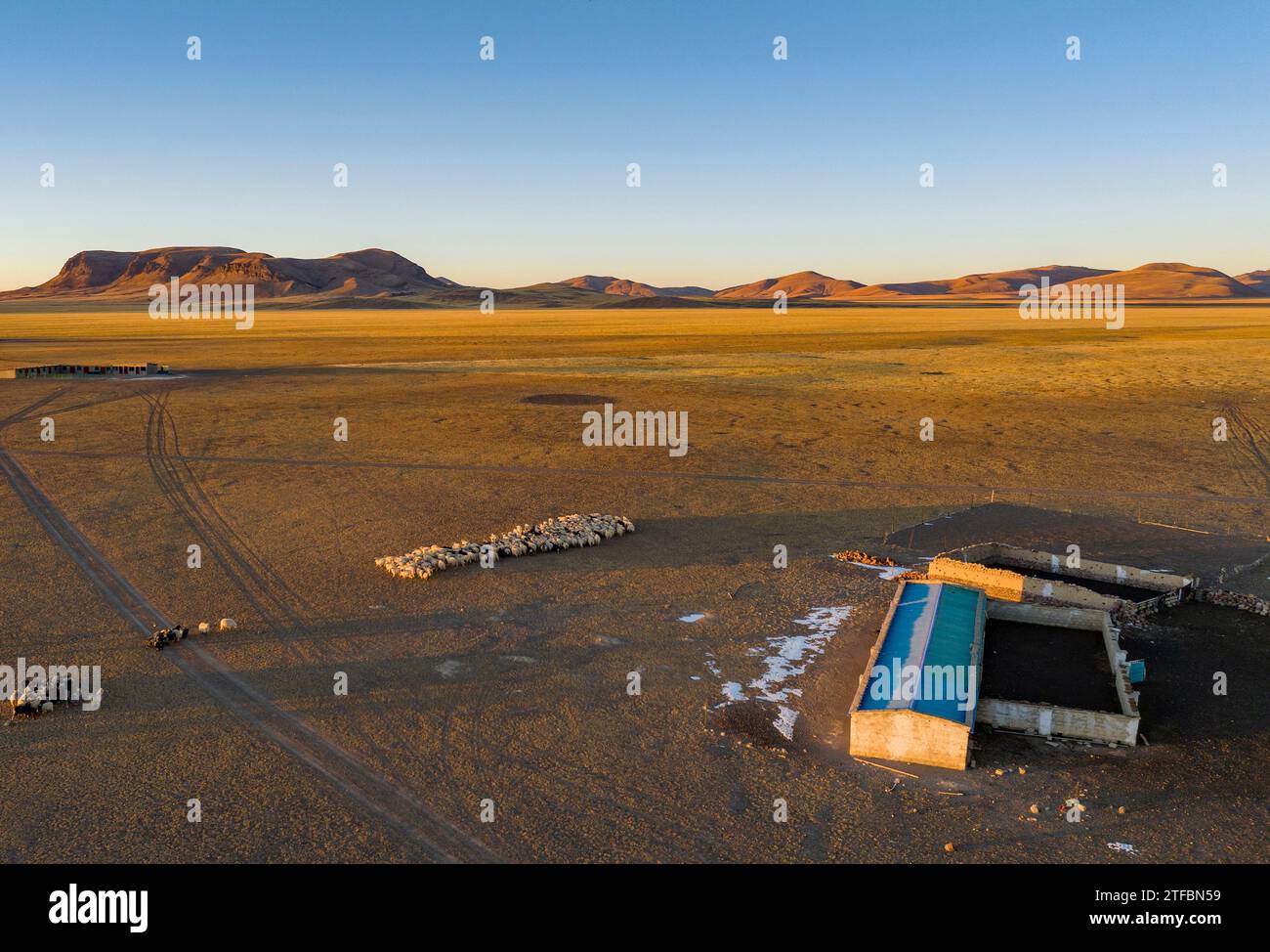 Nyima tenzin hi-res stock photography and images - Alamy