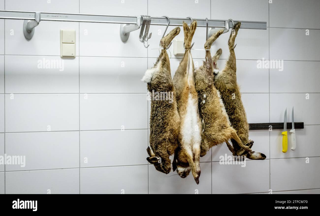 ROTTERDAM - Employees of a poulterer process orders the day before ...