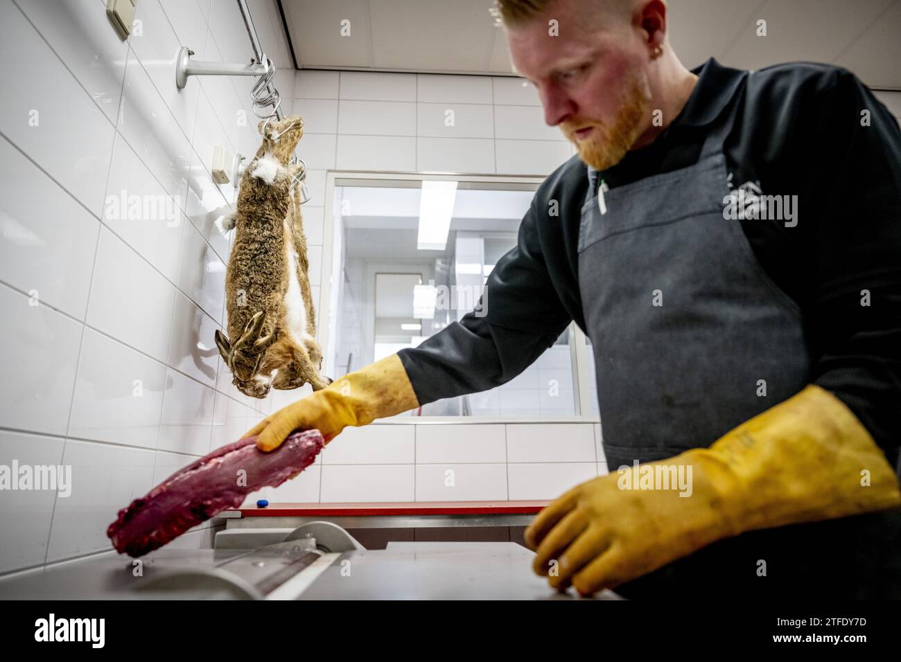 ROTTERDAM - Employees of a poulterer process orders the day before ...