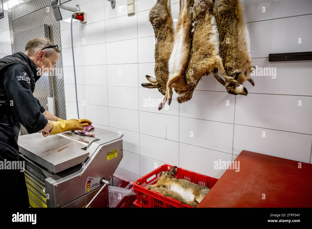 ROTTERDAM - Employees of a poulterer process orders the day before ...