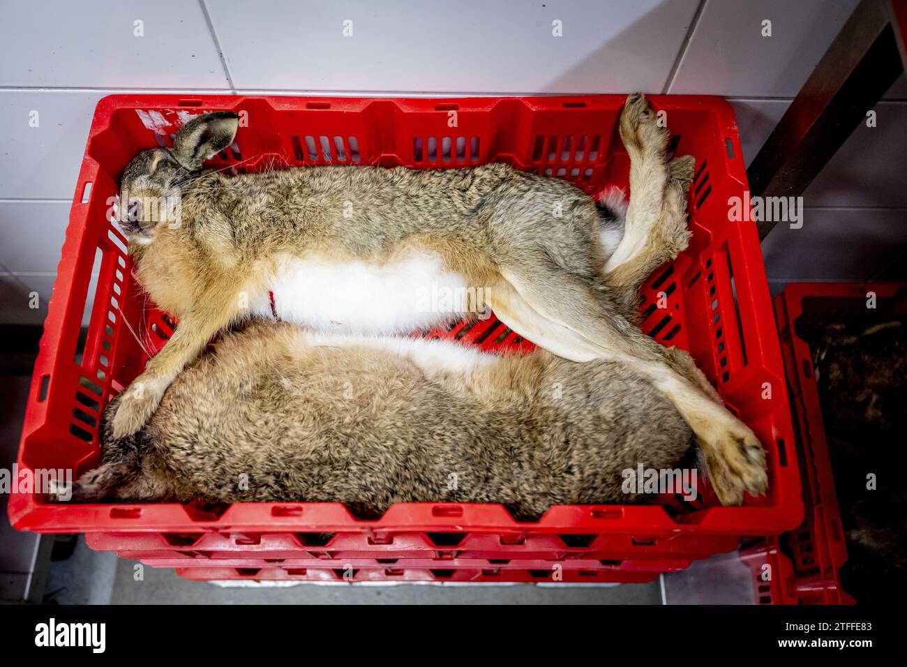 Poulterer hi-res stock photography and images - Alamy